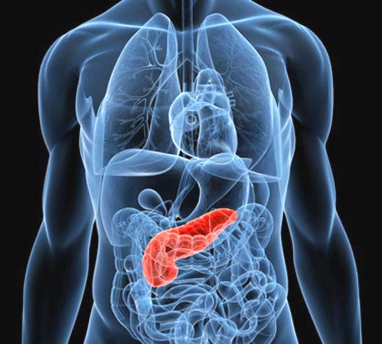 Tumore del pancreas, quali fattori di rischio? – UniPancreas